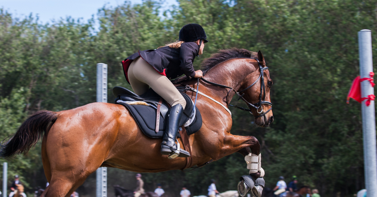 How to Find the Best Riding Breeches